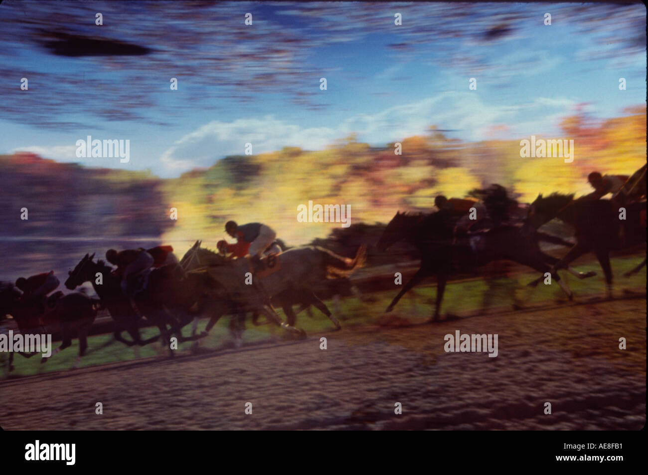 Crowd horse racing sports track spectator hi-res stock photography and ...