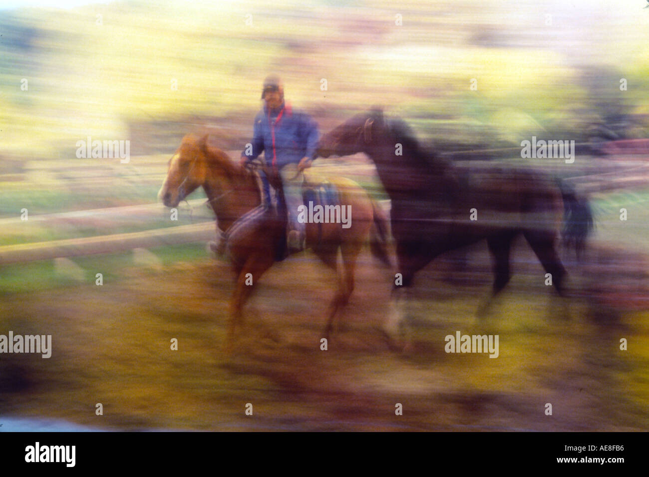 trainer galloping a horse Stock Photo - Alamy