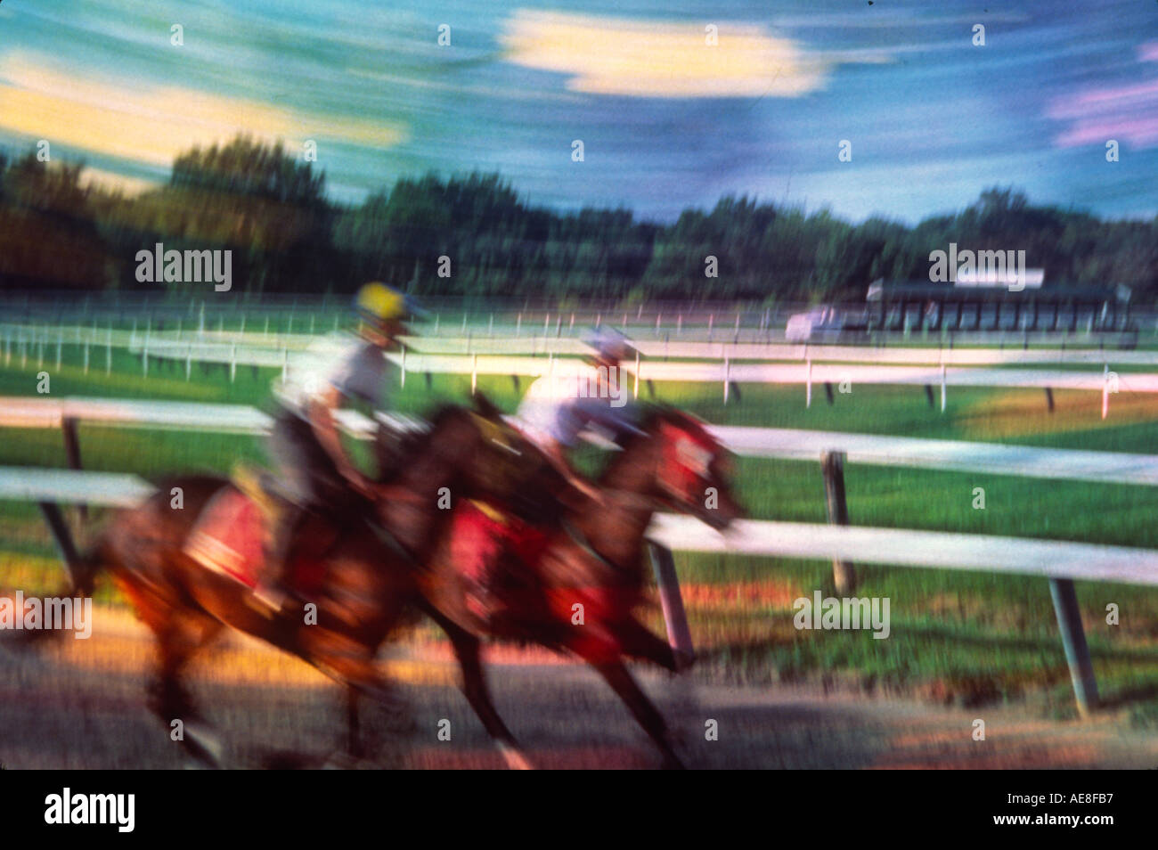 At the race track Stock Photo - Alamy