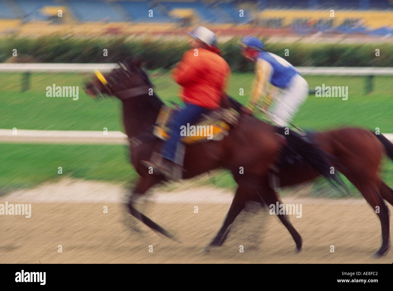 Jockey and trainer practicing at the race track Stock Photo - Alamy