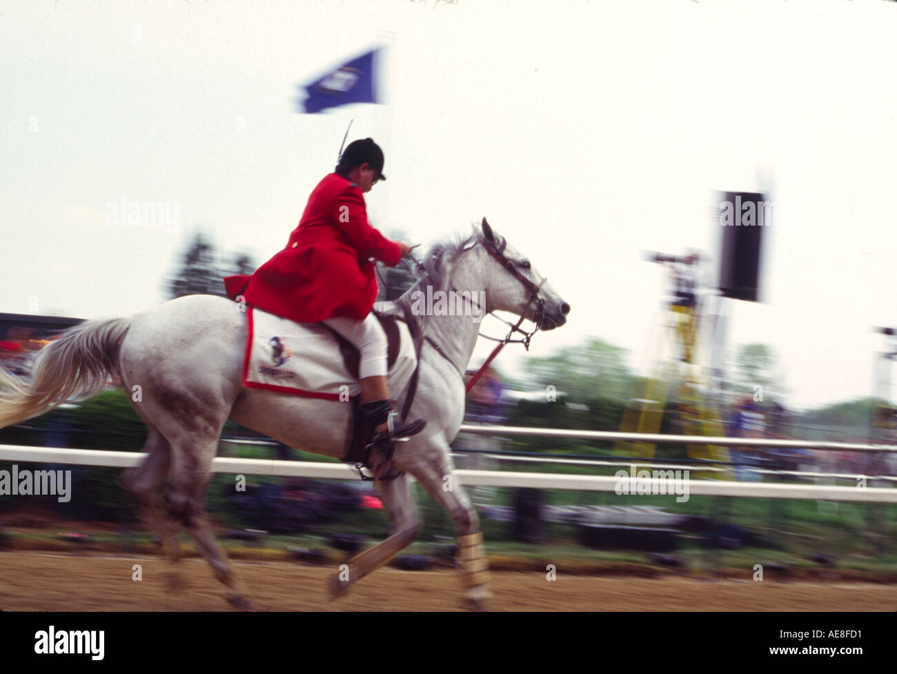 White horse galloping at the race track Stock Photo - Alamy