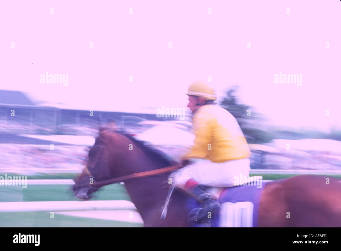 Profile view of one jockey riding in a horse track Stock Photo - Alamy