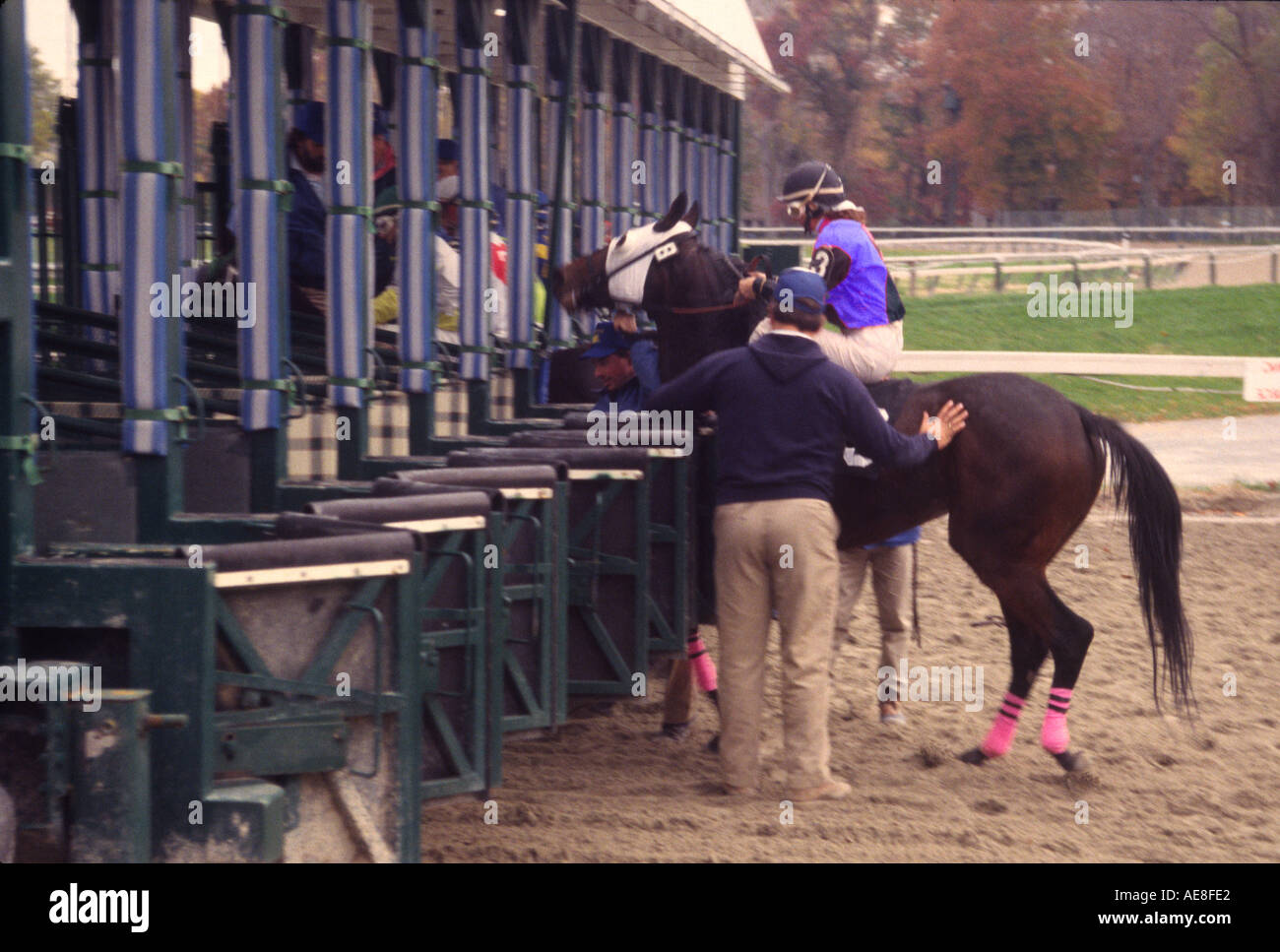 man loading horse at the racing gate Stock Photo - Alamy
