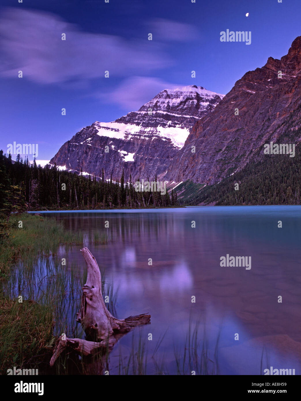 Mount Edith Cavell, Jasper National Park, Alberta, Canada Stock Photo ...