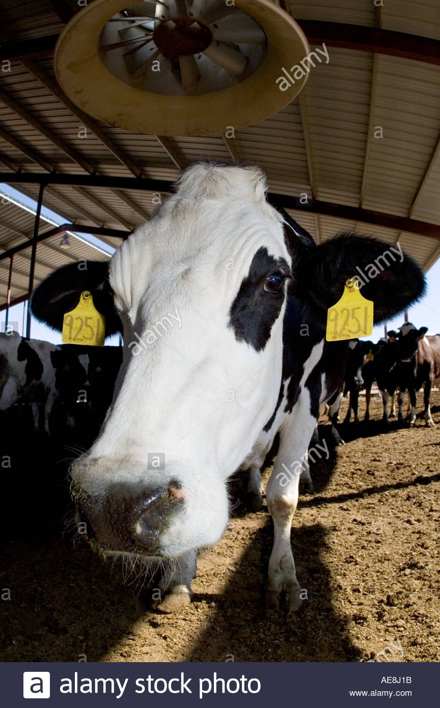 Desert Black White High Resolution Stock Photography and Images - Alamy