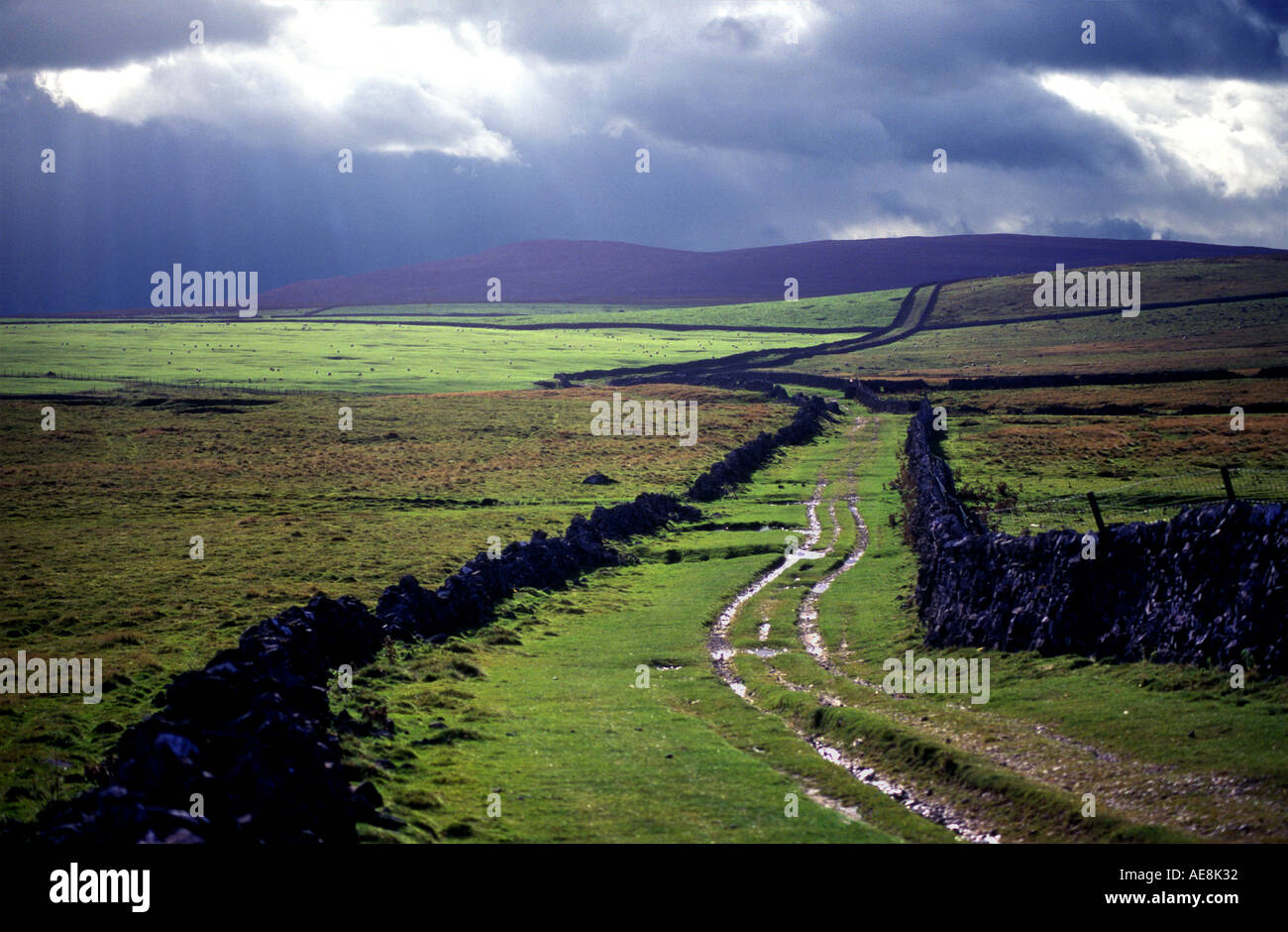 ancient Bordley Craven Yorkshire Dales Lane Mastiles moors moorland ...