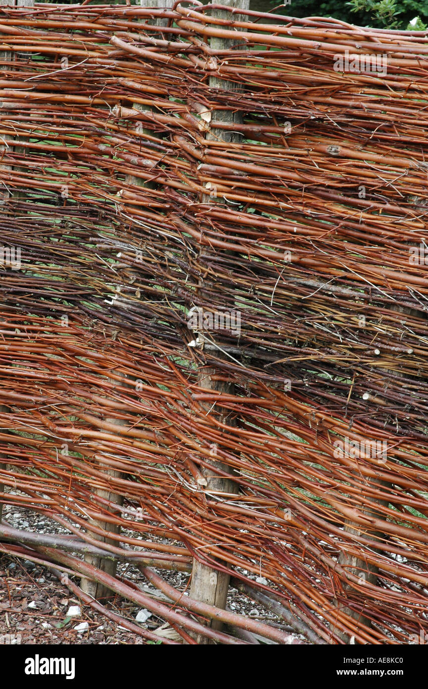 Woven willow fencing Wattle fence with interwoven salix twigs and ...