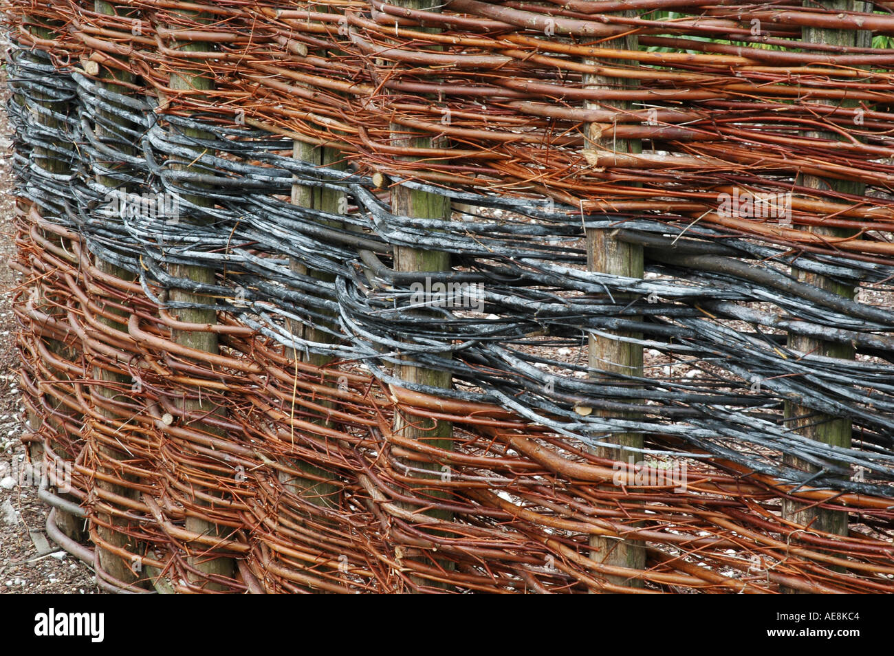 Woven willow fencing Wattle fence with interwoven salix twigs and ...