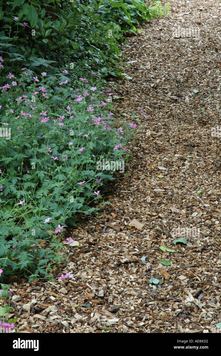 Path Bark chips with geraniums Stock Photo - Alamy