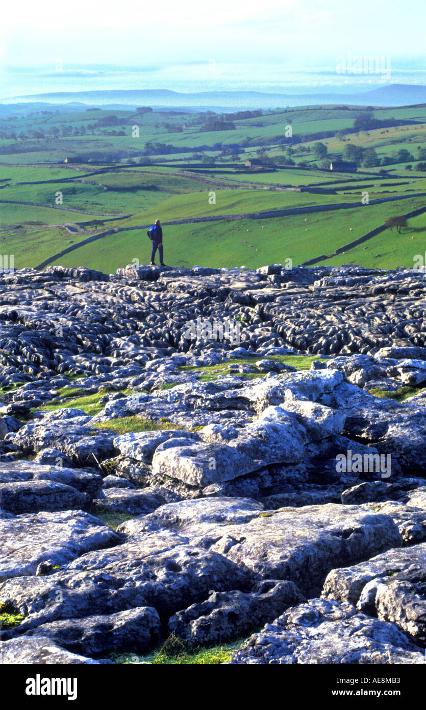 cliff Cove Malham Dales Yorkshire Malhamdale England Pennines edge ...