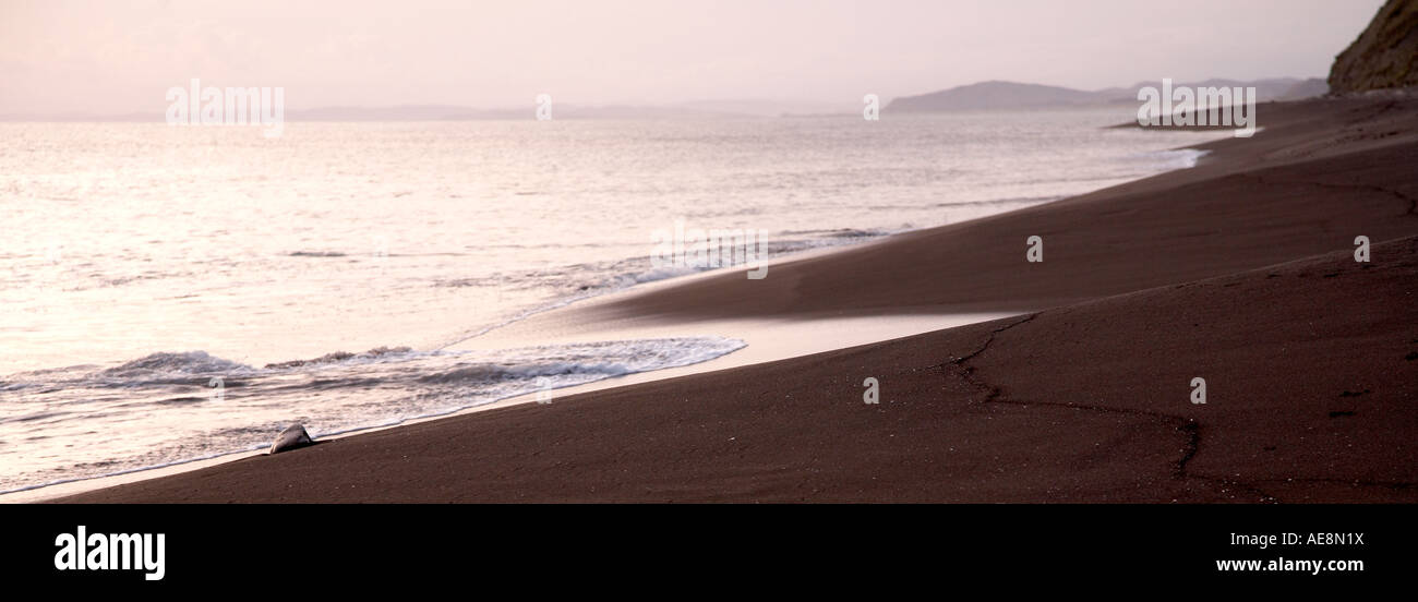 Mahia beach hi-res stock photography and images - Alamy