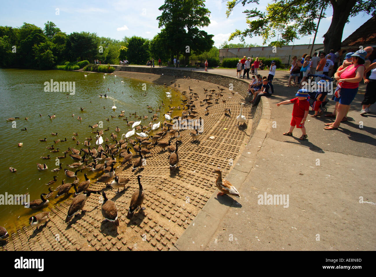 Coate Water country park lake and diving board Swindon Wiltshire Stock ...