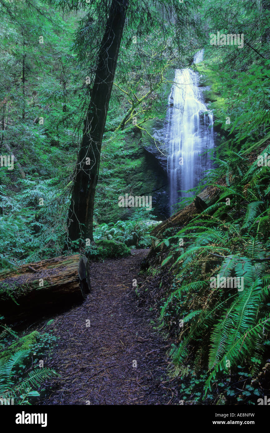 Waterfall on Chamberlain Creek in Jackson State Forest on the Mendocino ...