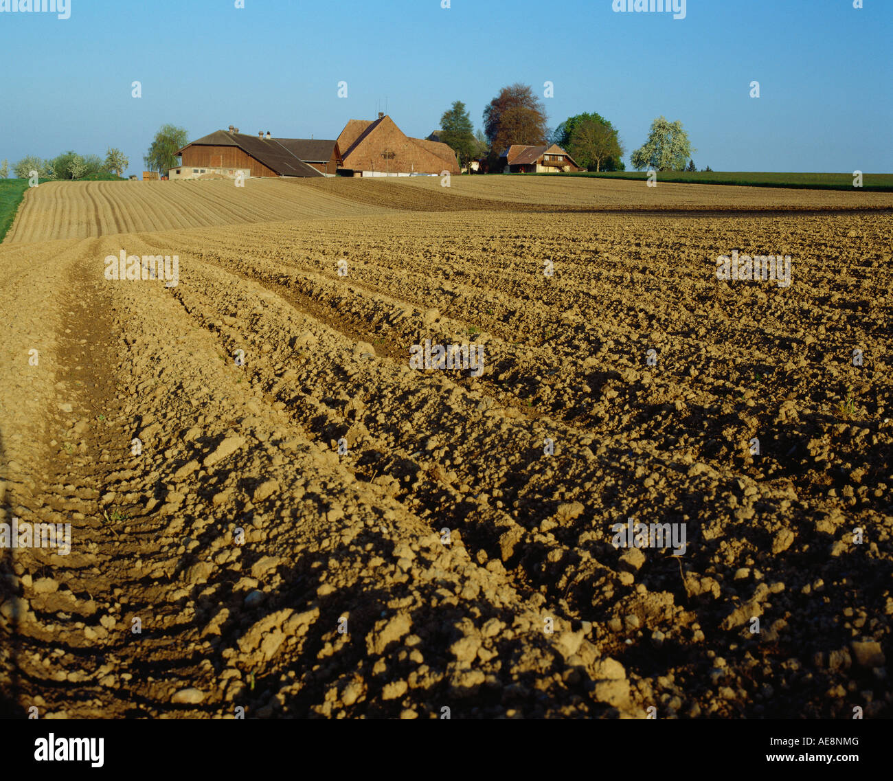 ploughed field and farmhouse in Schaufelbuhl Lutzelfluh Stock Photo - Alamy