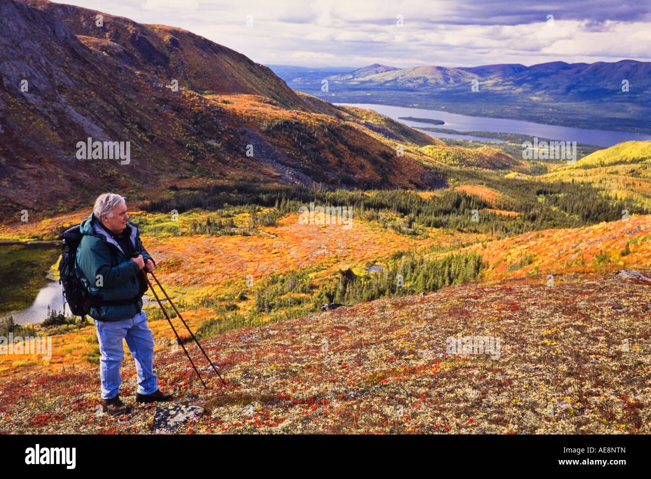 Man hiking in Selwyn Mountains Yukon Canada Fall colours Stock Photo ...