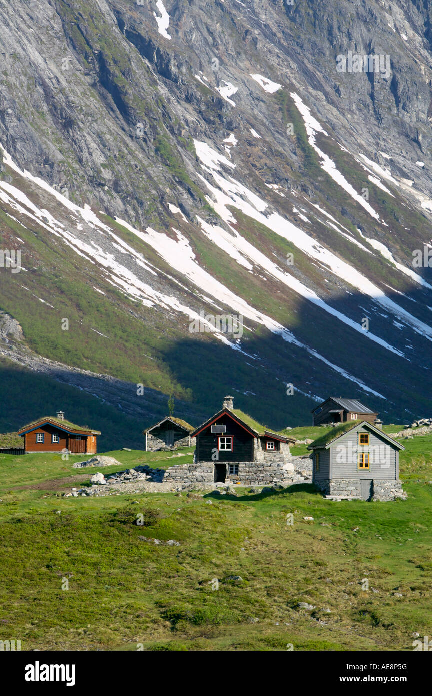 Seter hi-res stock photography and images - Alamy