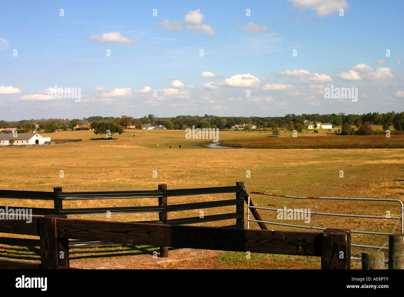 View of Open Pasture with Fence in Foreground Stock Photo - Alamy