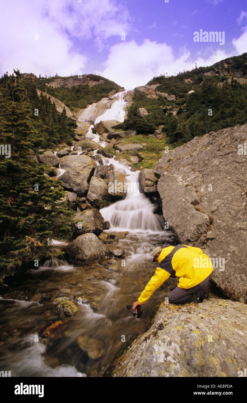 Hiker getting drink from creek Danny Moore Basin Babine Mountains ...