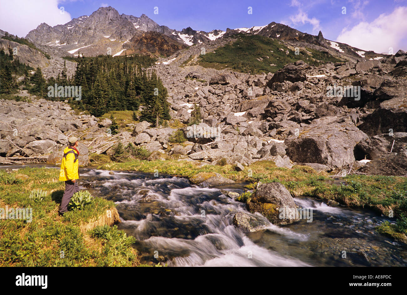 Hiker beside alpine creek Danny Moore Basin Babine Mountains Provincial ...