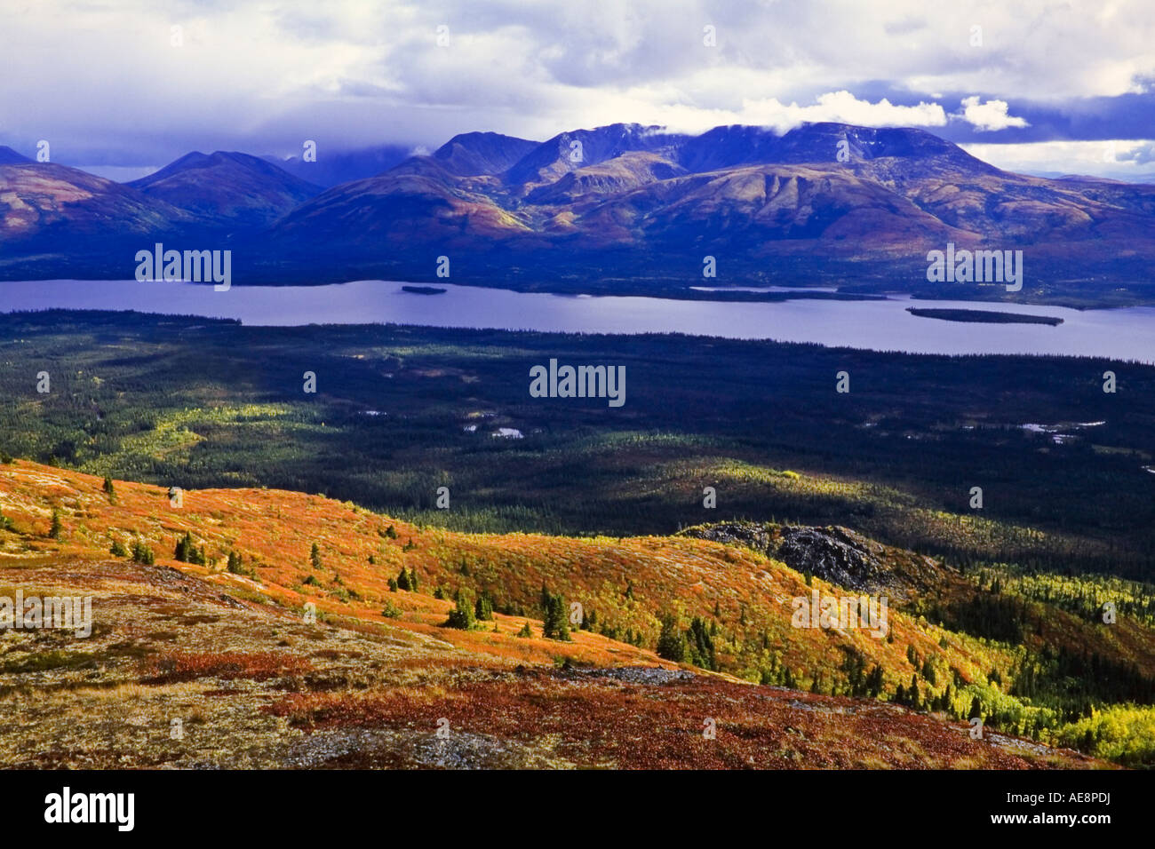 Eastern canadian wilderness hi-res stock photography and images - Alamy