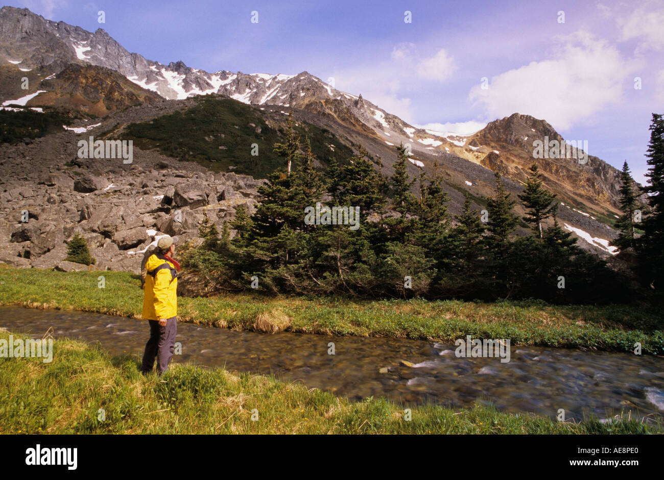 Hiker beside alpine creek Danny Moore basin Babine Mountains Provincial ...