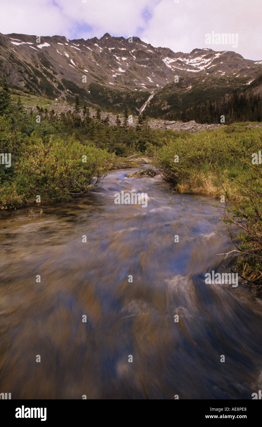 Alpine creek scene Danny Moore Basin Babine Mountains Provincial Park ...