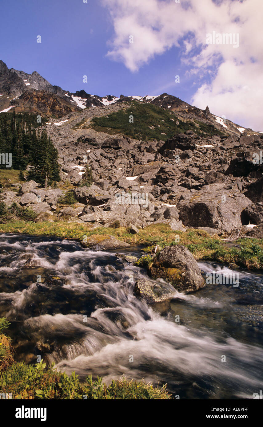 Alpine scene Danny Moore Basin Babine Mountains Provincial Park ...