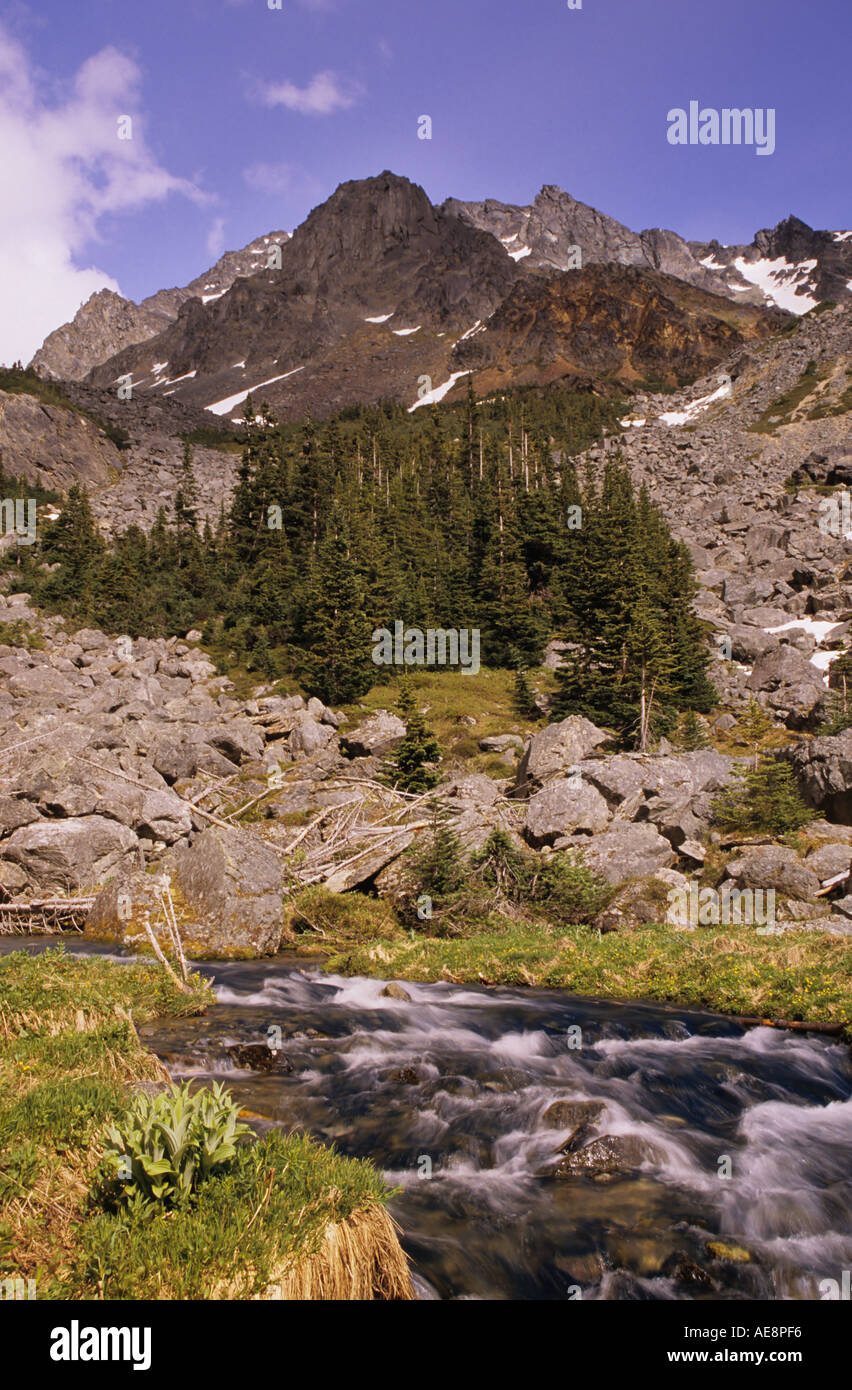 Alpine scene Danny Moore Basin Babine Mountains Provincal Park Smithers ...