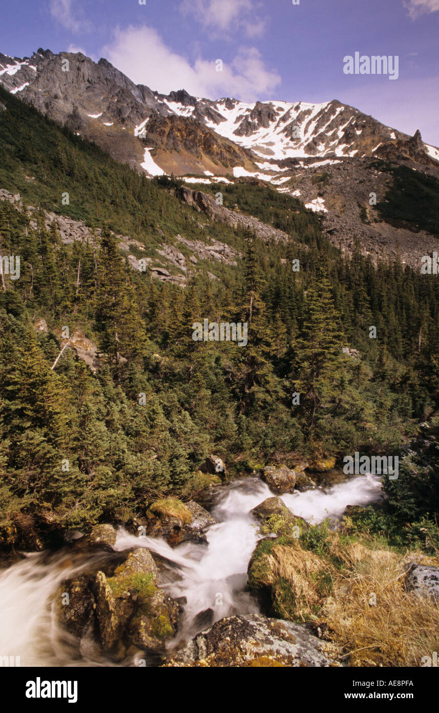 Alpine creek Danny Moore Basin Babine Mountains Provincial Park ...