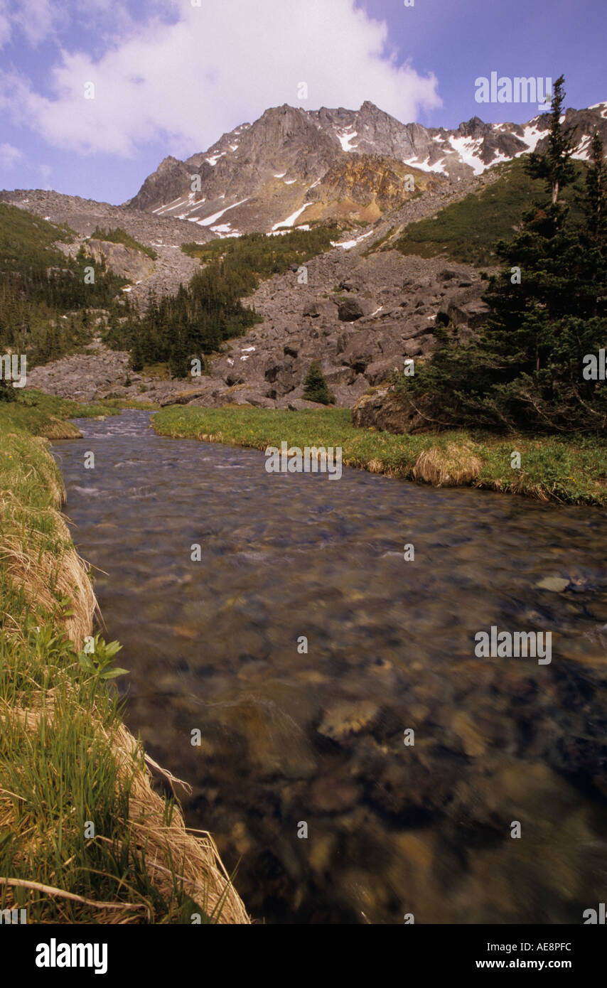 Alpine creek Danny Moore Basin Babine Mountains Provincial Park ...