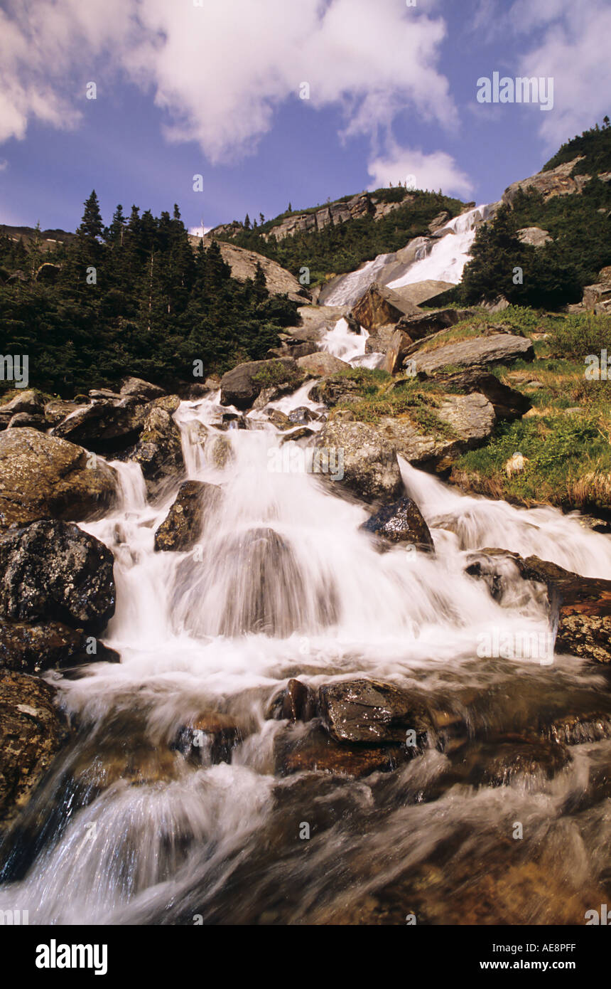 Creek in alpine Danny Moore Basin Babine Mountains Provincial Park ...