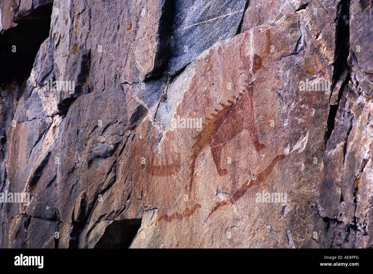 Agawa rock pictographs hi-res stock photography and images - Alamy