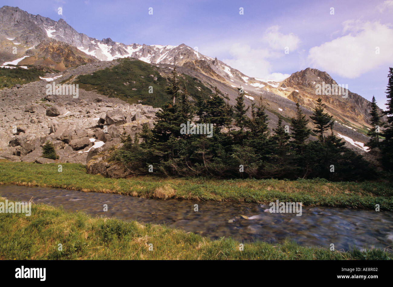 Alpine creek Danny Moore Basin Babine Mountains Provincial park ...