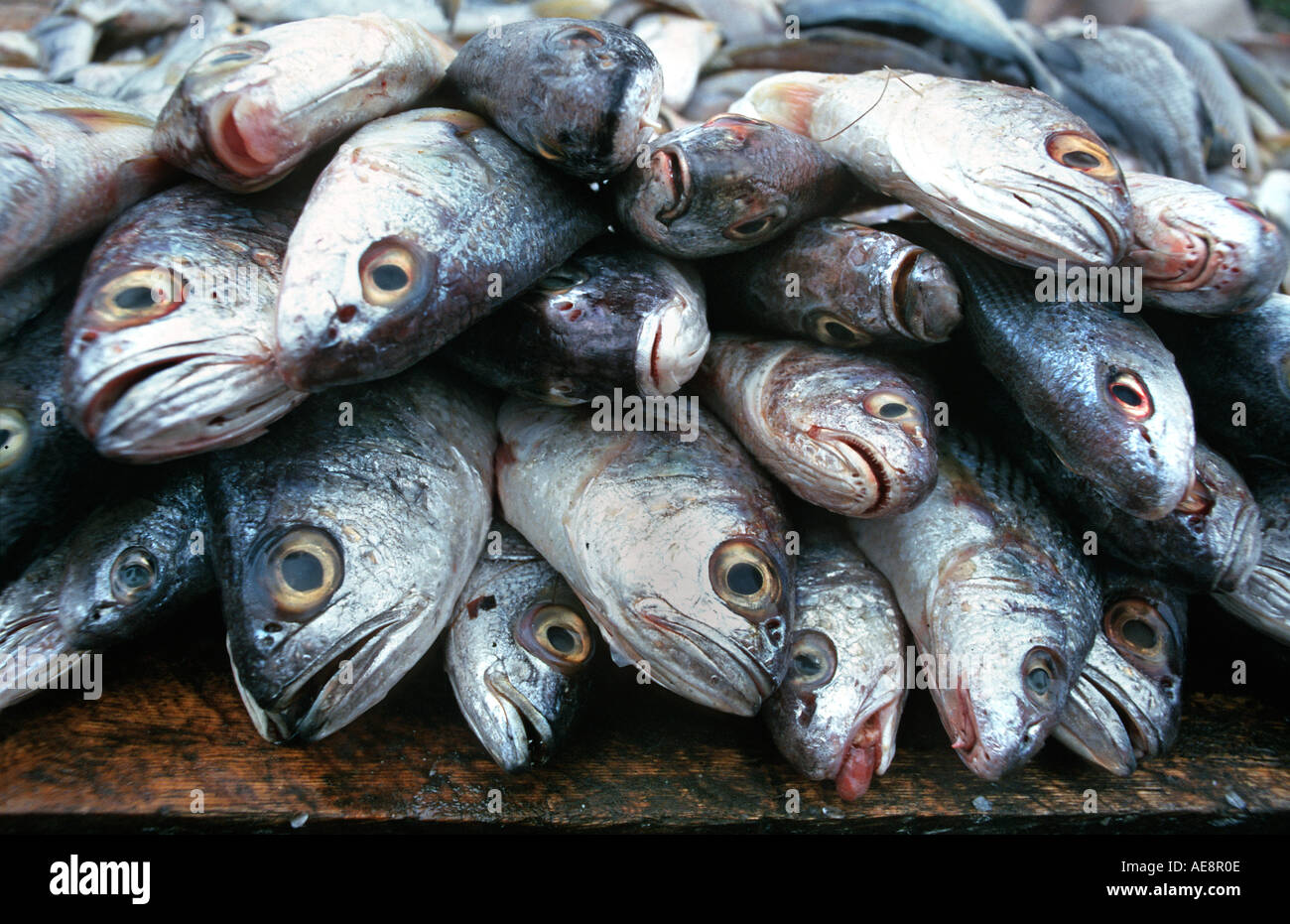 Bucay ecuador hi-res stock photography and images - Alamy