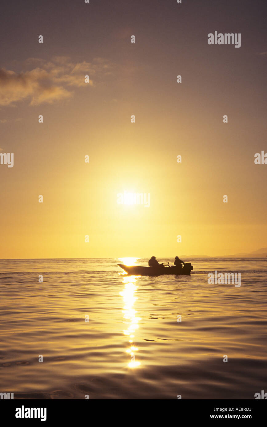 Boston whaler fishing boat hi-res stock photography and images - Alamy
