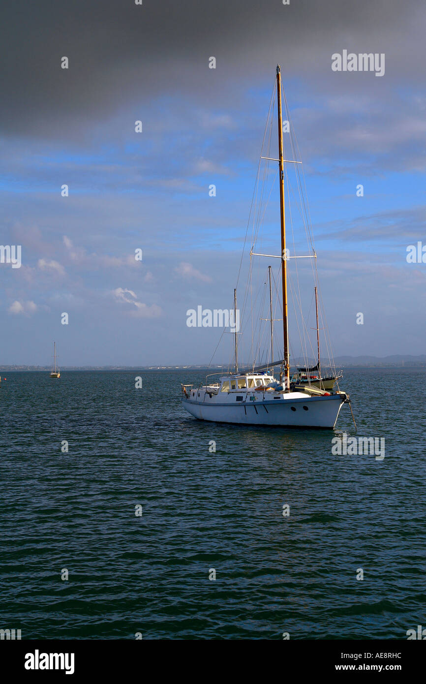 Boat on Waitemata harbour, Auckland New Zealand Stock Photo - Alamy