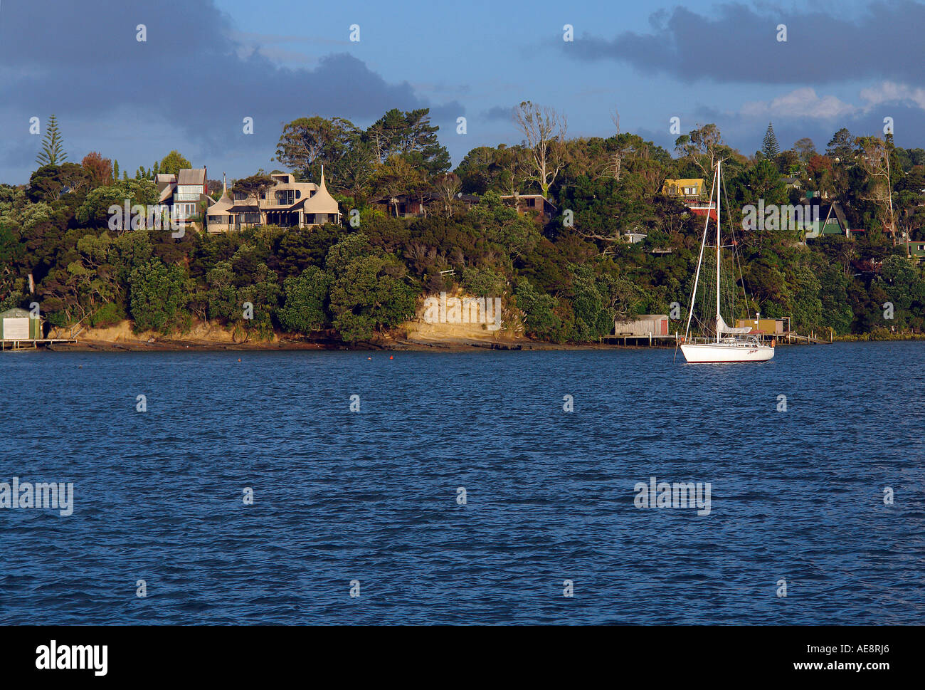 Boat on Waitemata harbour, Auckland New Zealand Stock Photo - Alamy