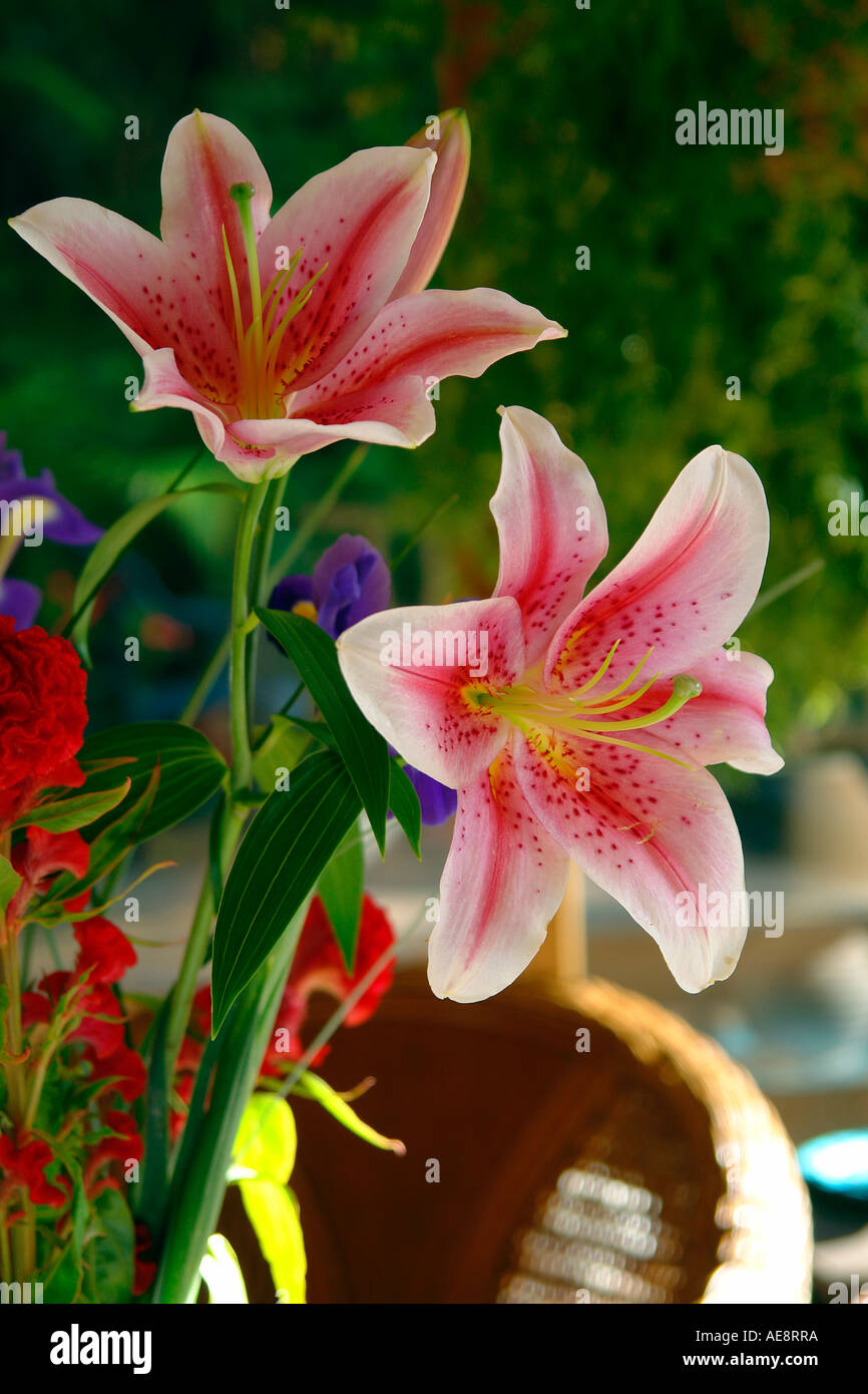Flower arrangement with pink flowers Stock Photo - Alamy