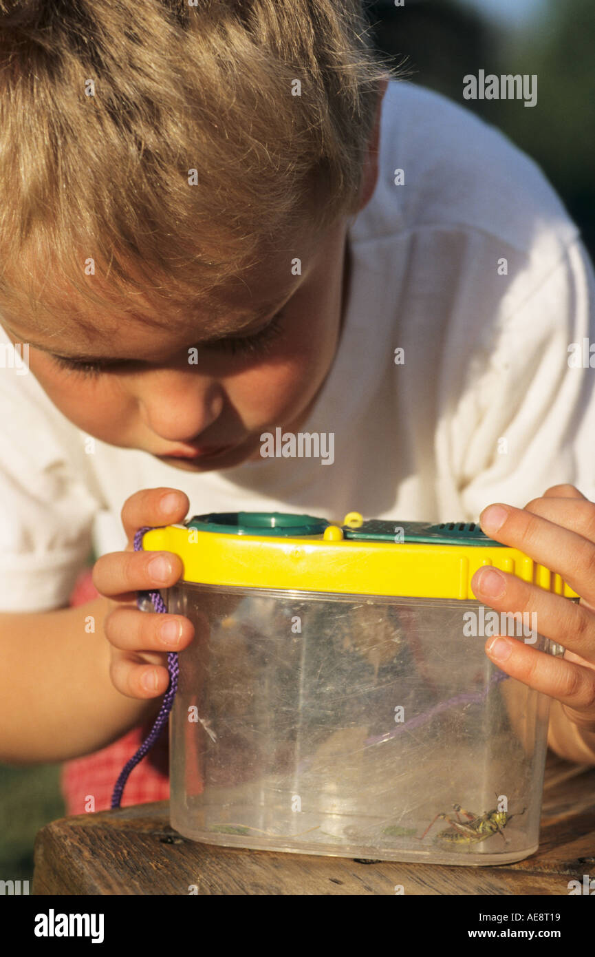 Bugjar hi-res stock photography and images - Alamy