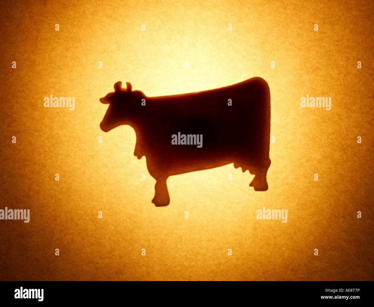 Bessie the cow hi-res stock photography and images - Alamy