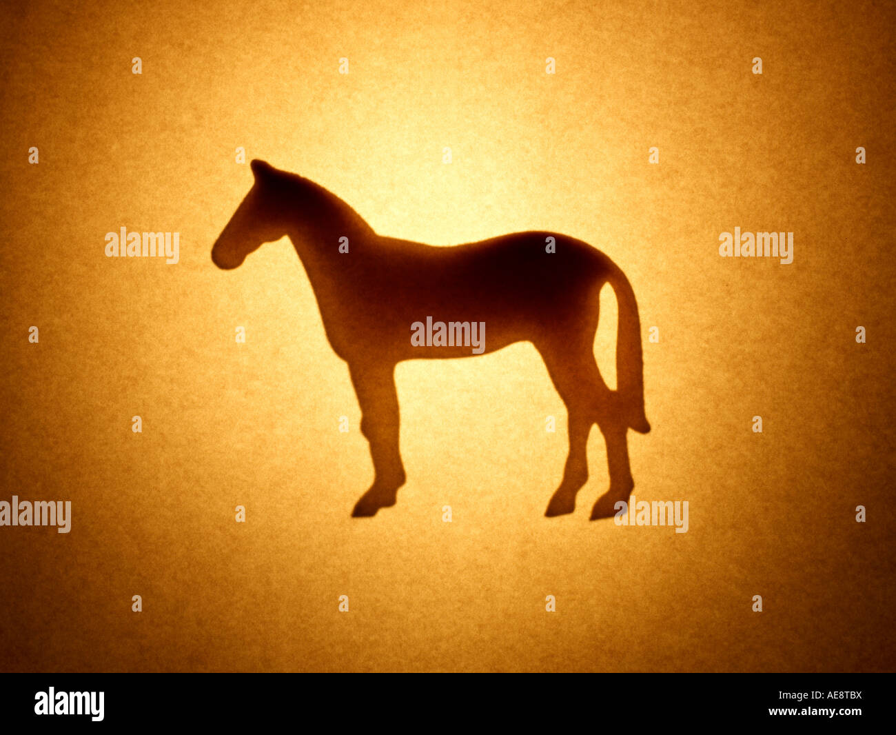 Horse riding metaphor hi-res stock photography and images - Alamy