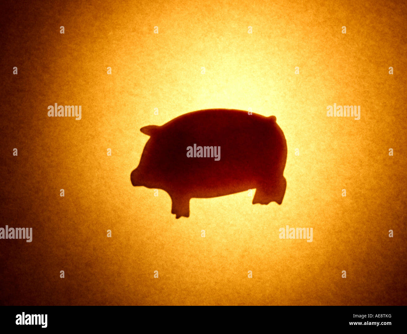 Save your bacon hi-res stock photography and images - Alamy