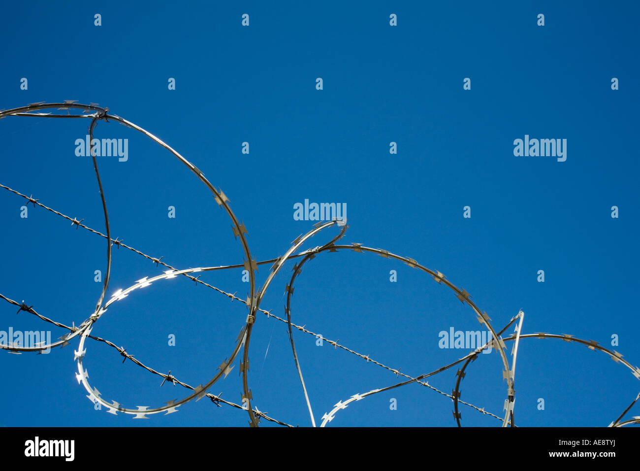 Captured barbed wire hi-res stock photography and images - Alamy