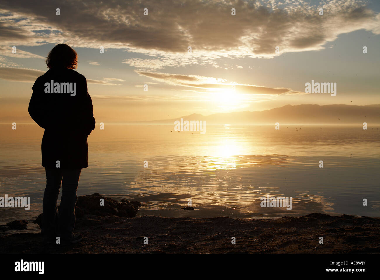 Woman Stares off into Sunset at The Salton Sea National Wildlife Refuge ...