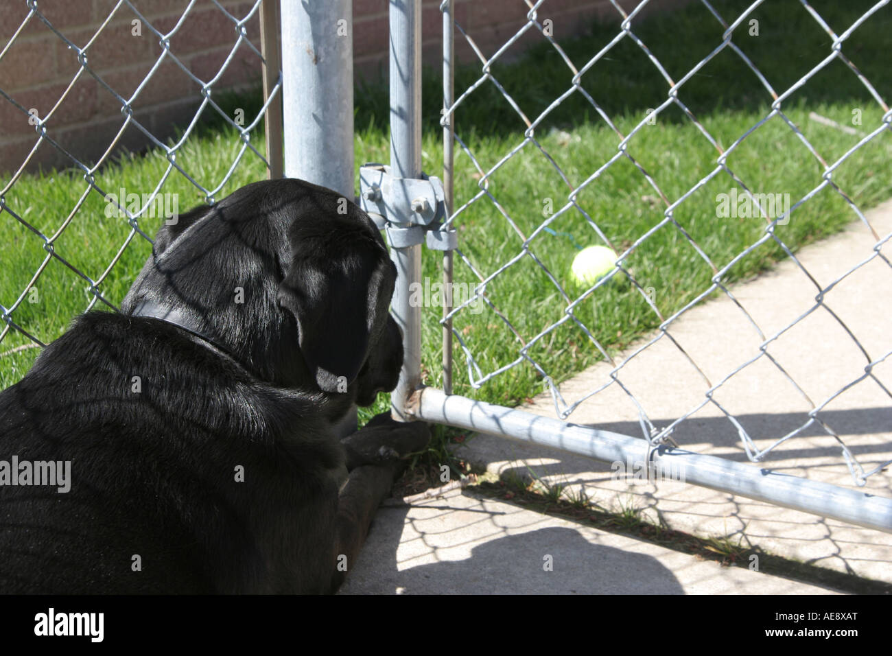 Fixed gaze hi-res stock photography and images - Alamy