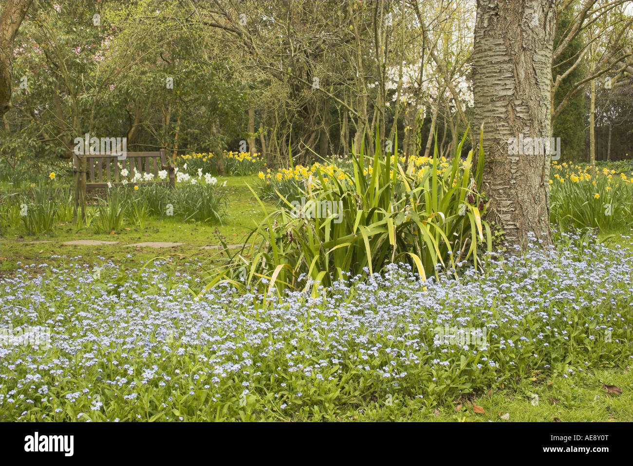 Highdown gardens spring hi-res stock photography and images - Alamy