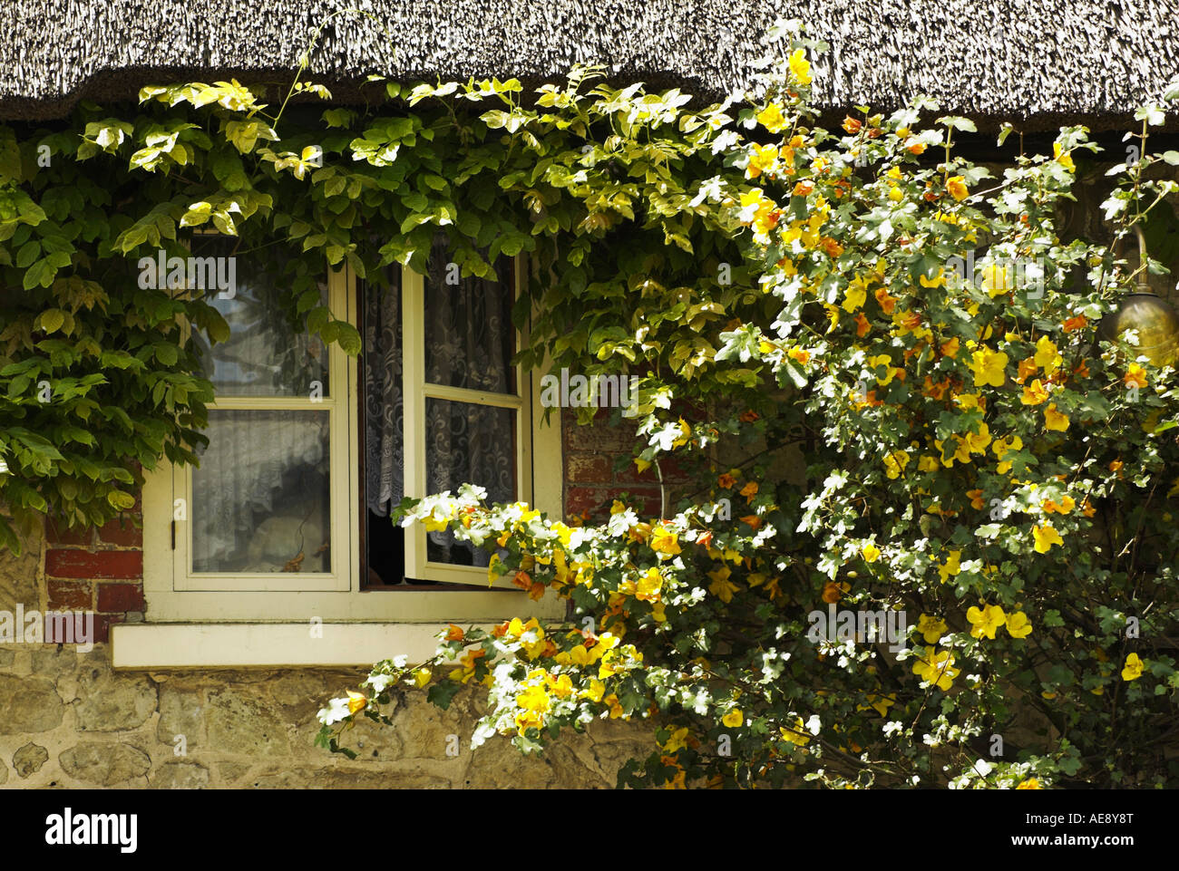 Flowers round an open cottage window Stock Photo - Alamy