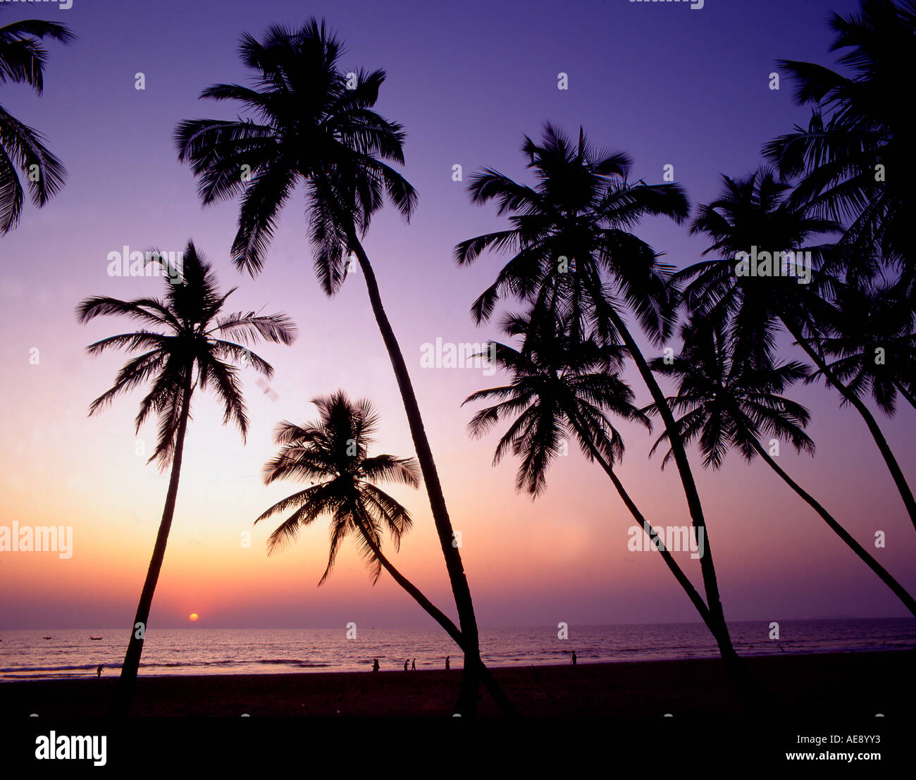 India Goa Colva Beach Stock Photo - Alamy