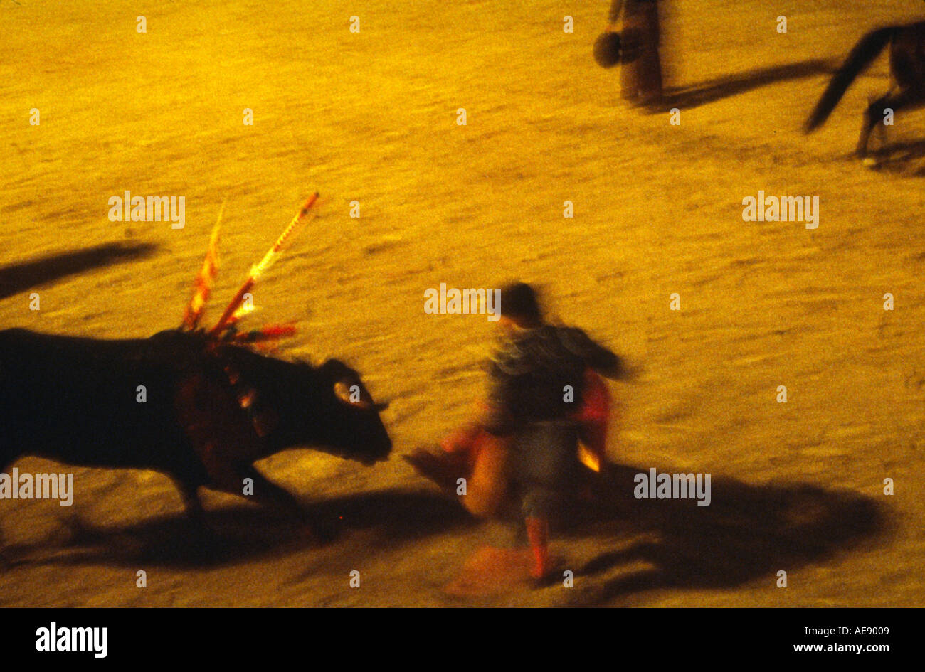 Bullfighting in an arena Stock Photo - Alamy