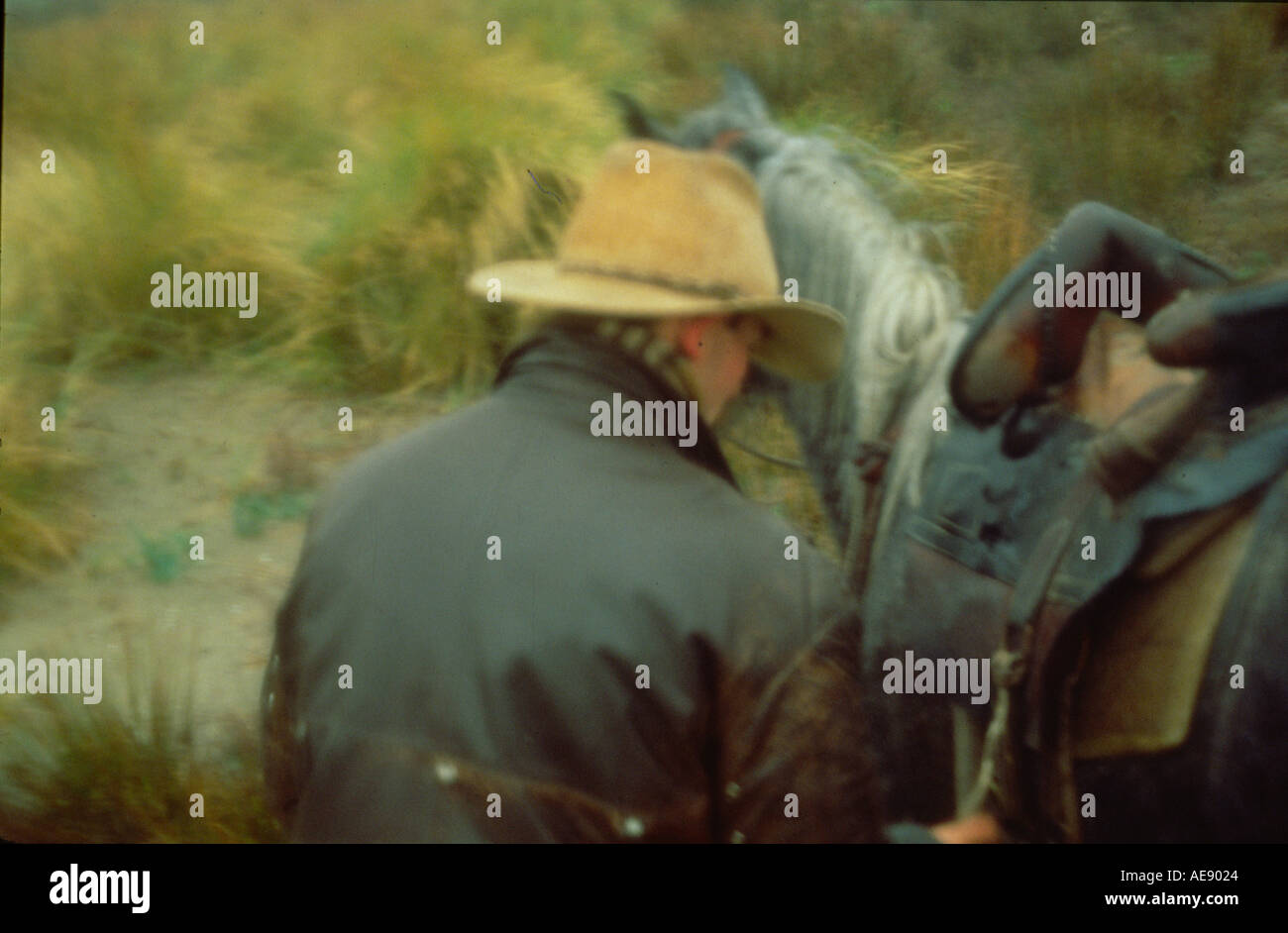 Cowboy fixing his horses sadle Stock Photo - Alamy